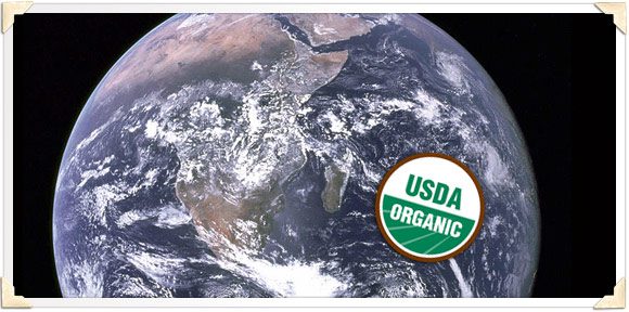 Is organic food the way to feed the world? - Ask Farm Aid