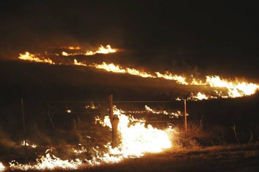 Devastating Wildfires Spur Farm Aid to Activate Family Farm Disaster ...