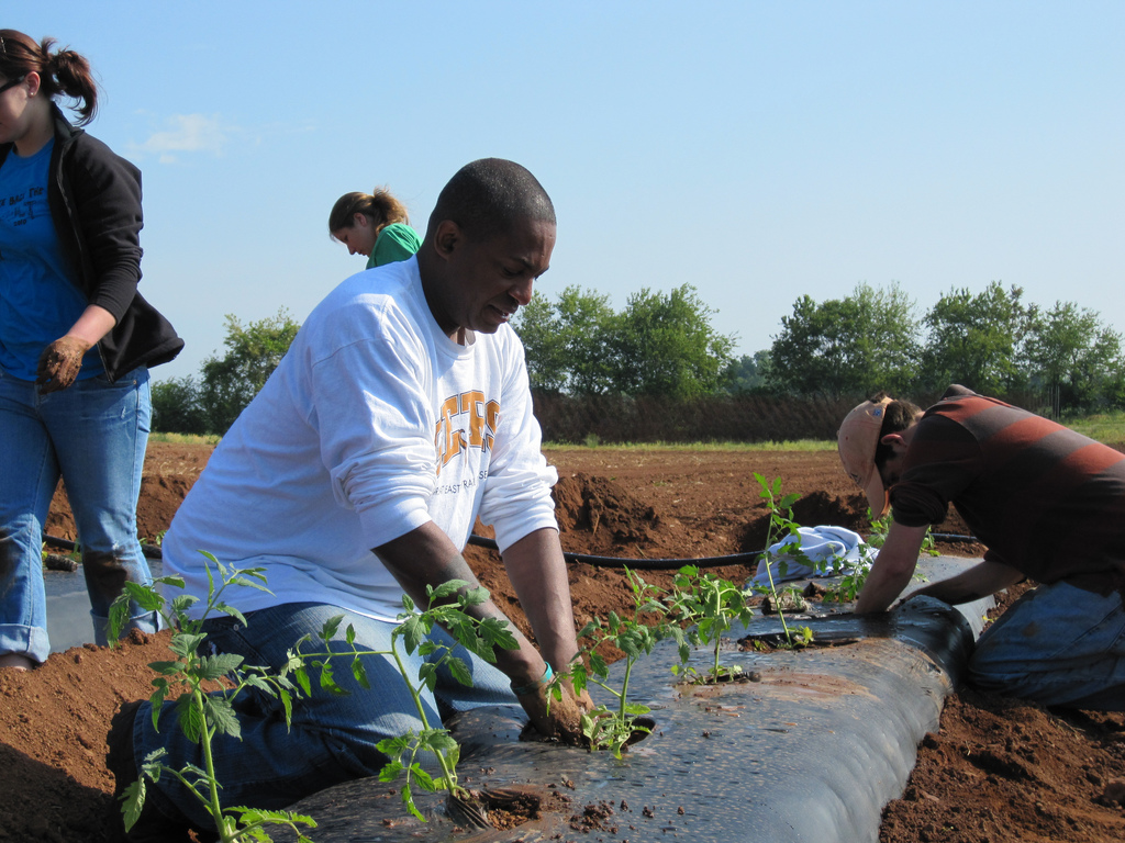 The Local Food Hub - Farm Aid Farmer Heroes