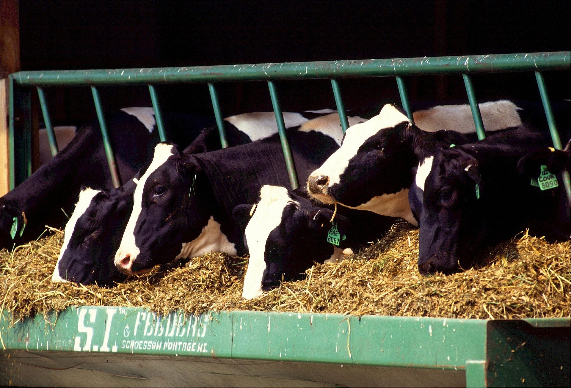 Unfair Pricing: The Dairy Farmer Crisis – Farm Aid