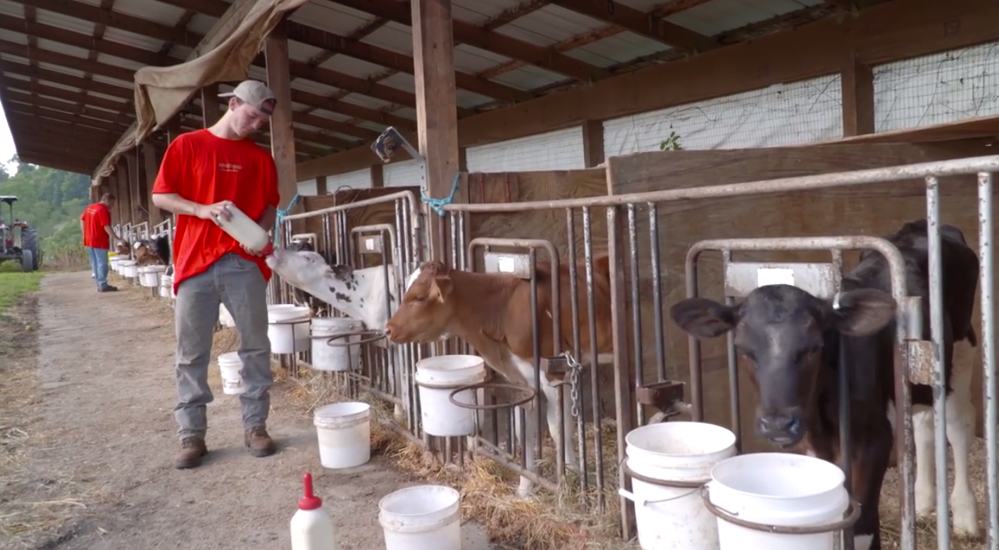 Pennsylvania Dairy Farmers: Growing the Next Generation – Farm Aid Pennsylvania Dairy Farmers: Growing the Next Generation – Farm Aid
