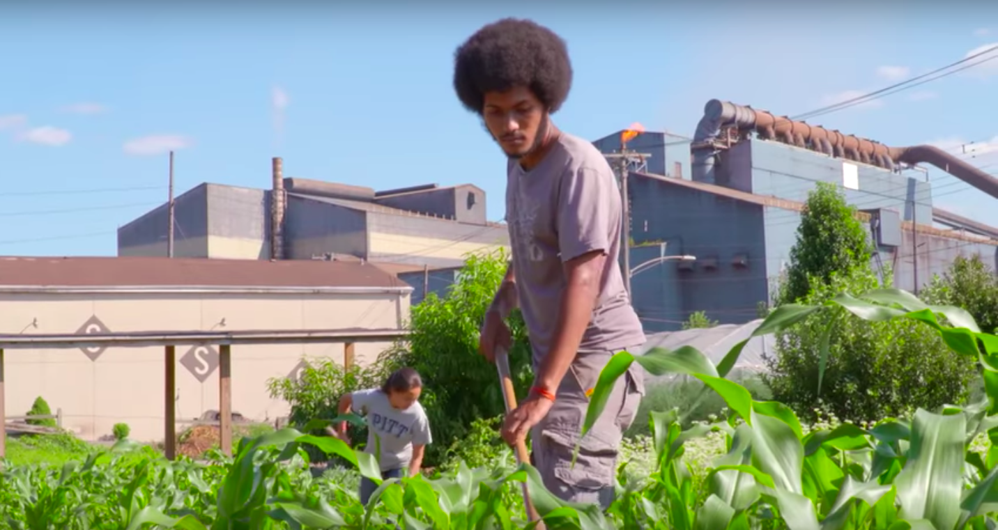 Pennsylvania Urban Farmers: Growing Resiliency – Farm Aid