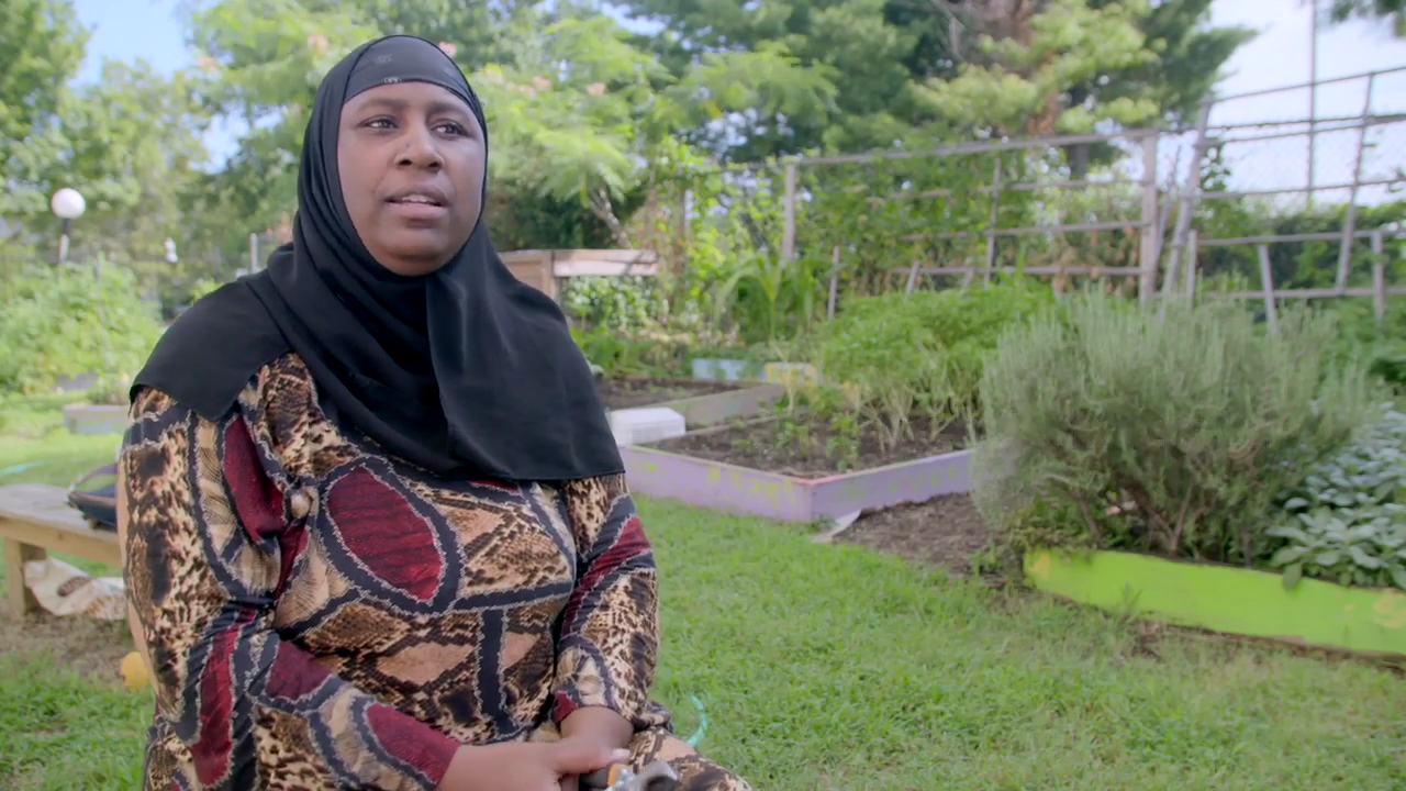 Empowering Urban Communities Through Food – Farm Aid