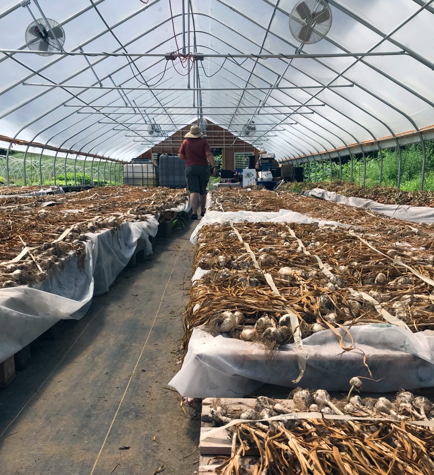 The Neighborhood Farm: Grow where you are planted – Farm Aid