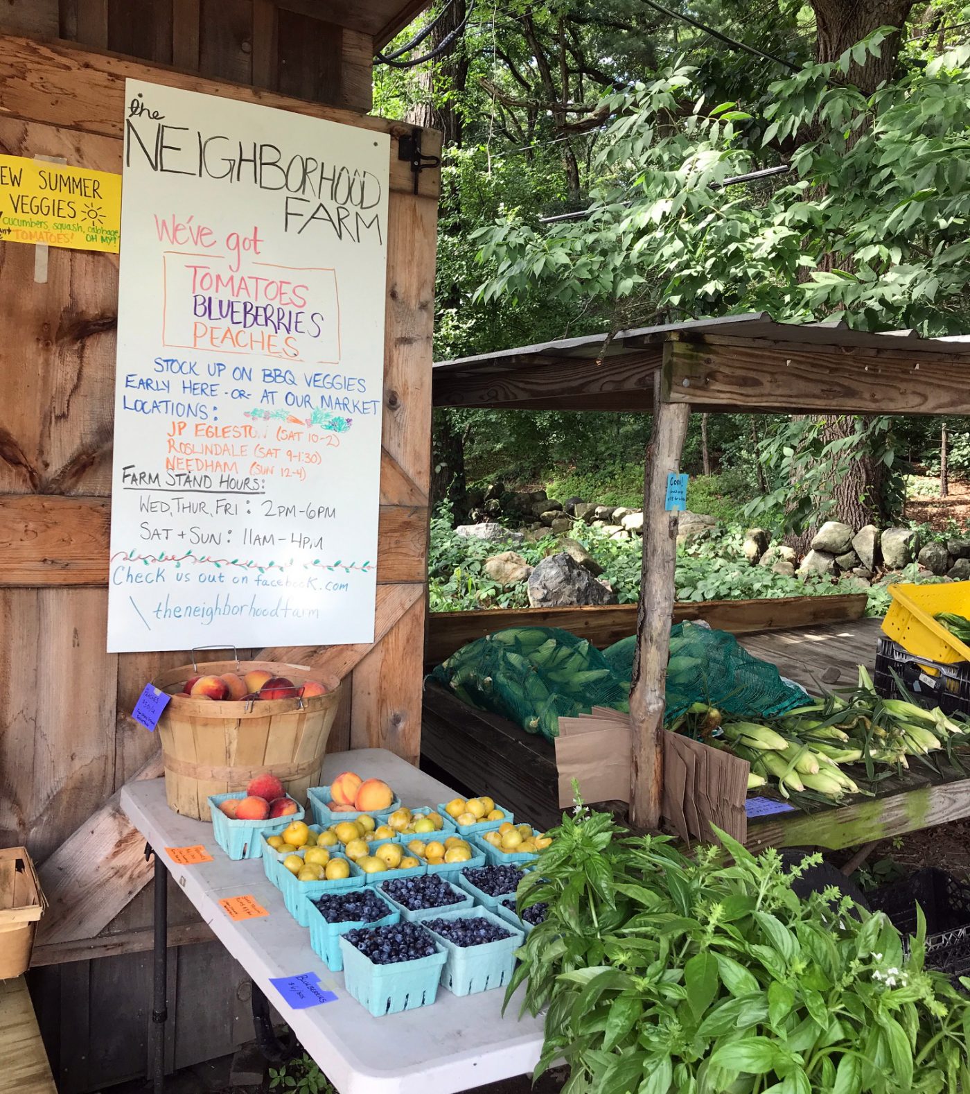 The Neighborhood Farm: Grow where you are planted – Farm Aid