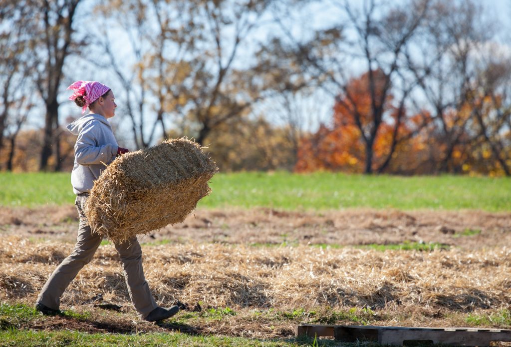 Your Connecticut Farmer Heroes Inspire Us – Farm Aid