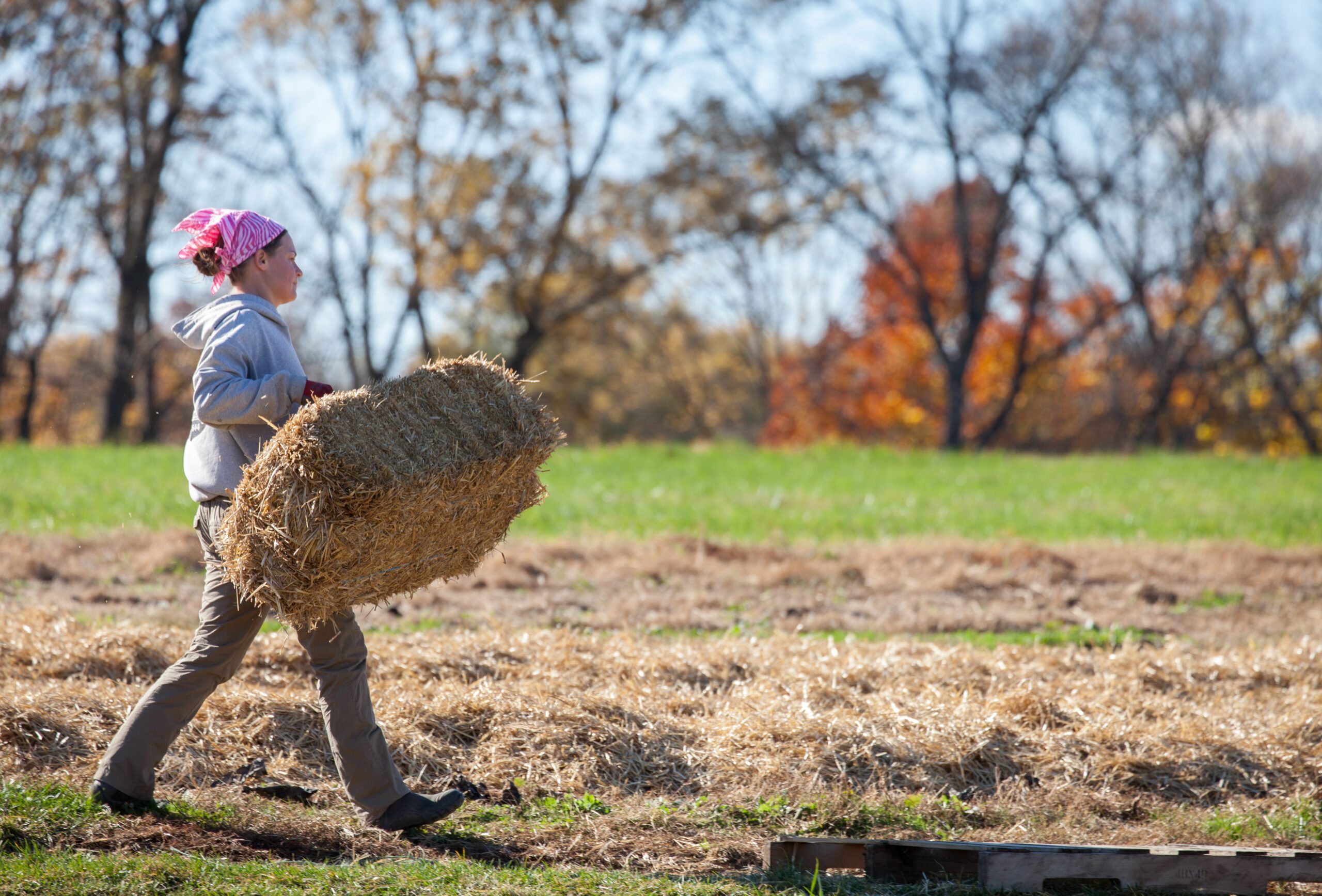 Farmer Resource Guides — Downloadable PDFs from Farm Aid