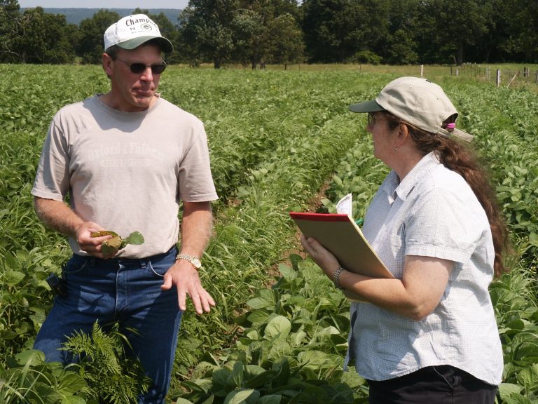 Farm Aid Partners Supporting Organic Production & Healthy Soils – Farm Aid