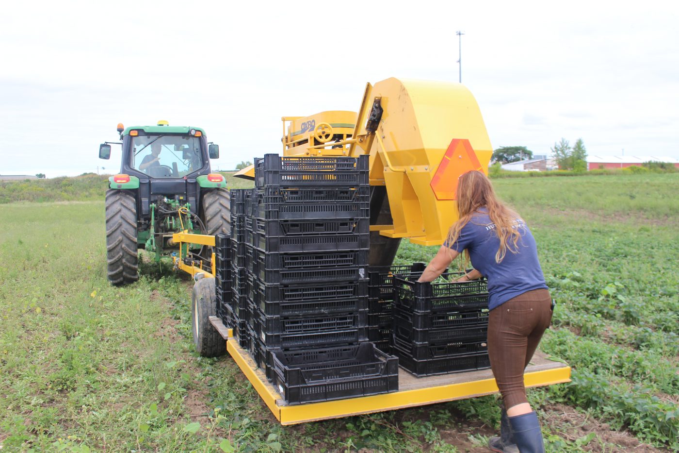 Sarah Wisniewski & Kyle Koch of The Hunger Task Force Farm Feed A ...