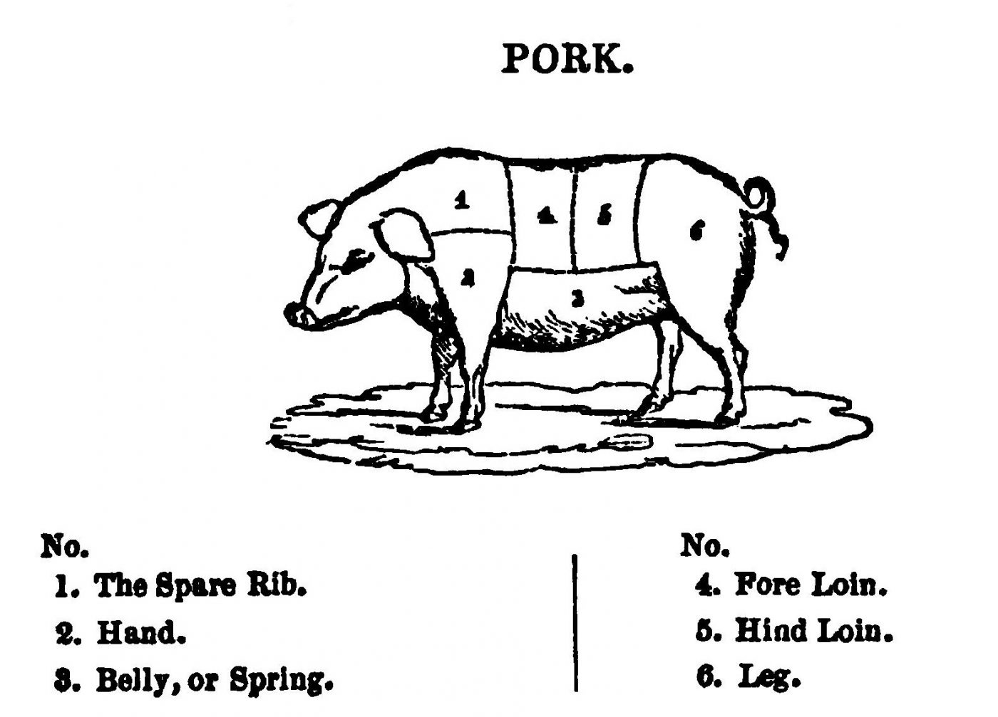 HOMEGROWN 101: Buying A Whole Pig – Farm Aid