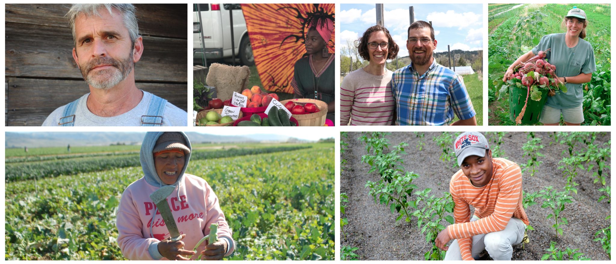 Call for Farmer Video Submissions: Help Us Showcase Essential Family ...