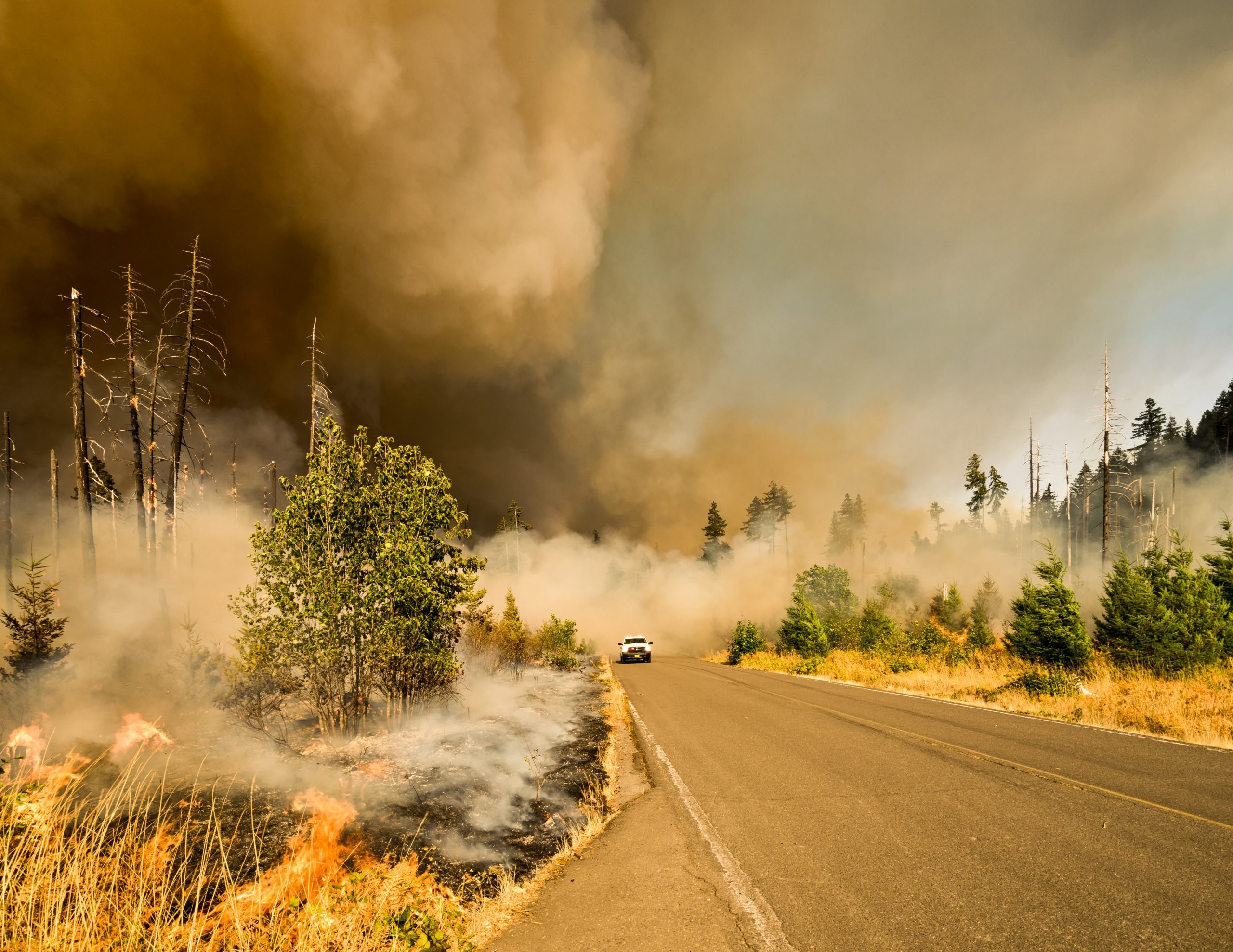 Resources for Farmers Affected by 2020 West Coast Wildfires – Farm Aid