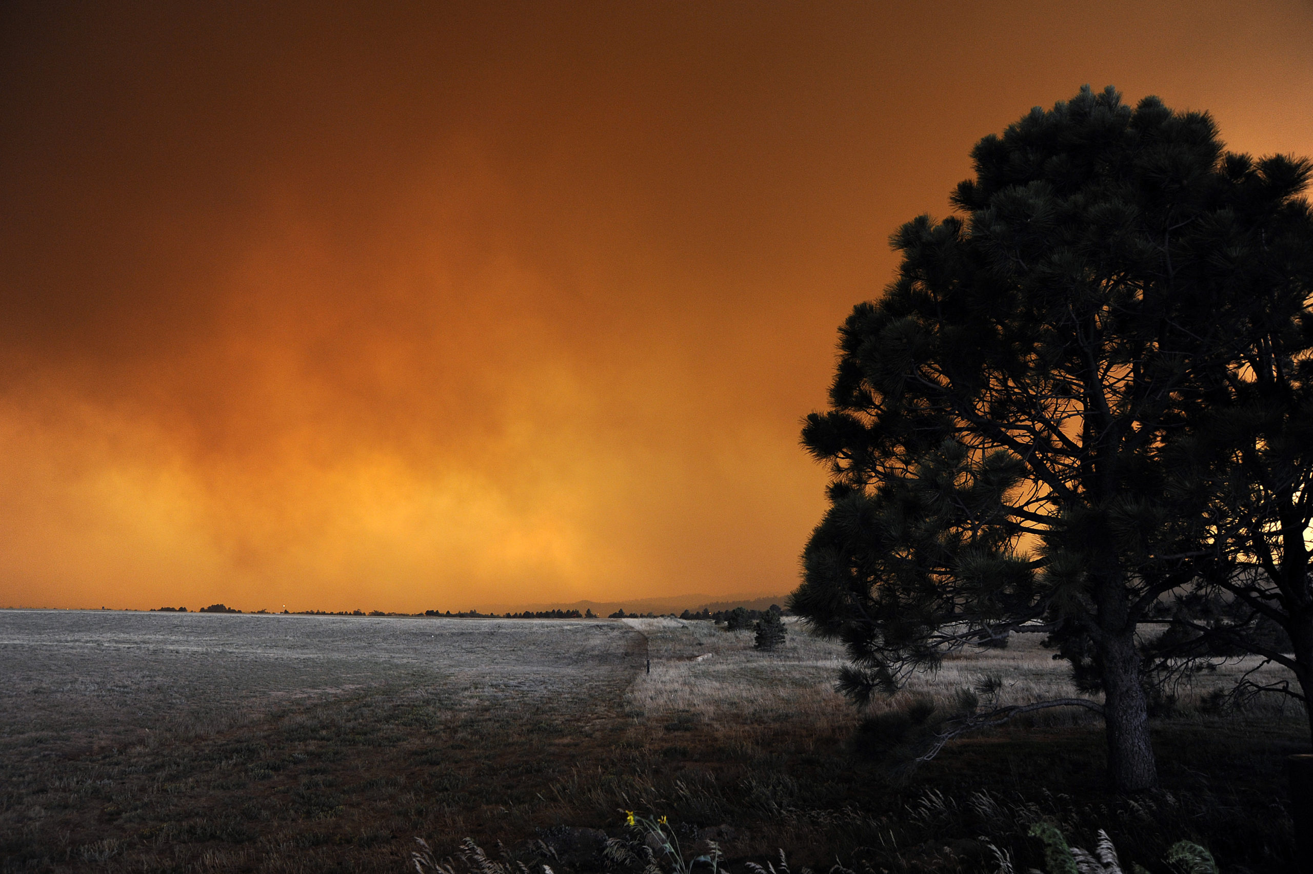 Resources for Farmers and Ranchers Facing Wildfire – Farm Aid