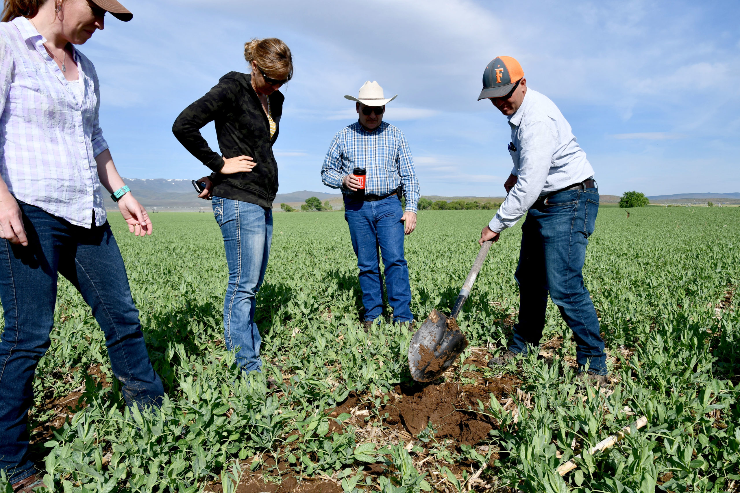 Farm Aid Joins More Than 600 Allies to Protect Climate-Resilient ...