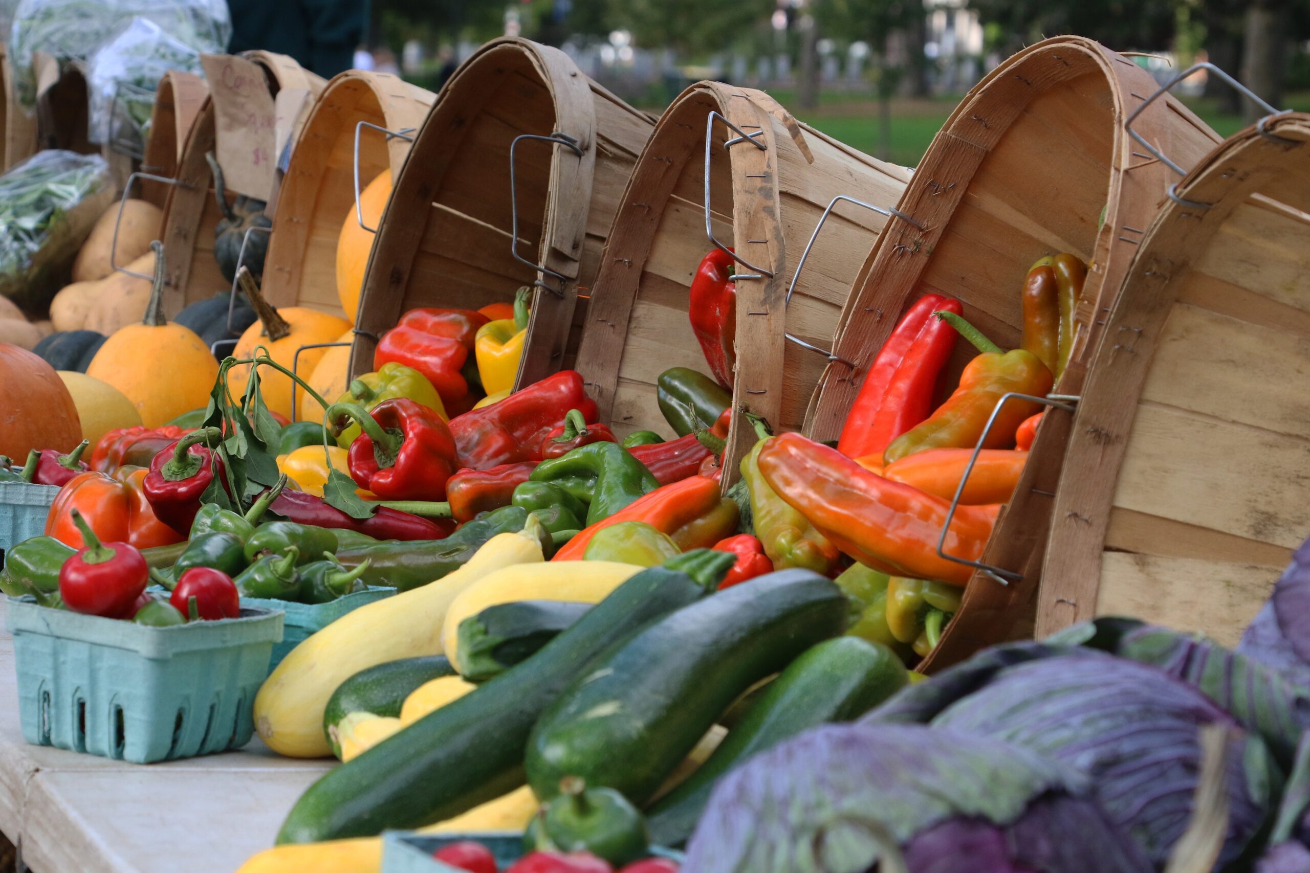 Watch Our Virtual Briefing on the People's Farm Bill – Farm Aid