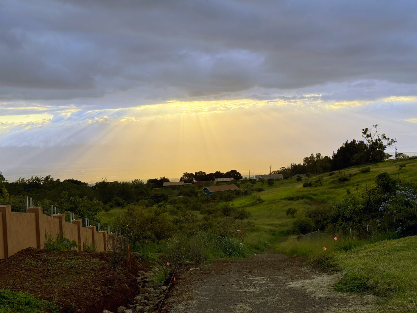 "Farming is everything." Rob Bence on Farming with Sustainability in ...