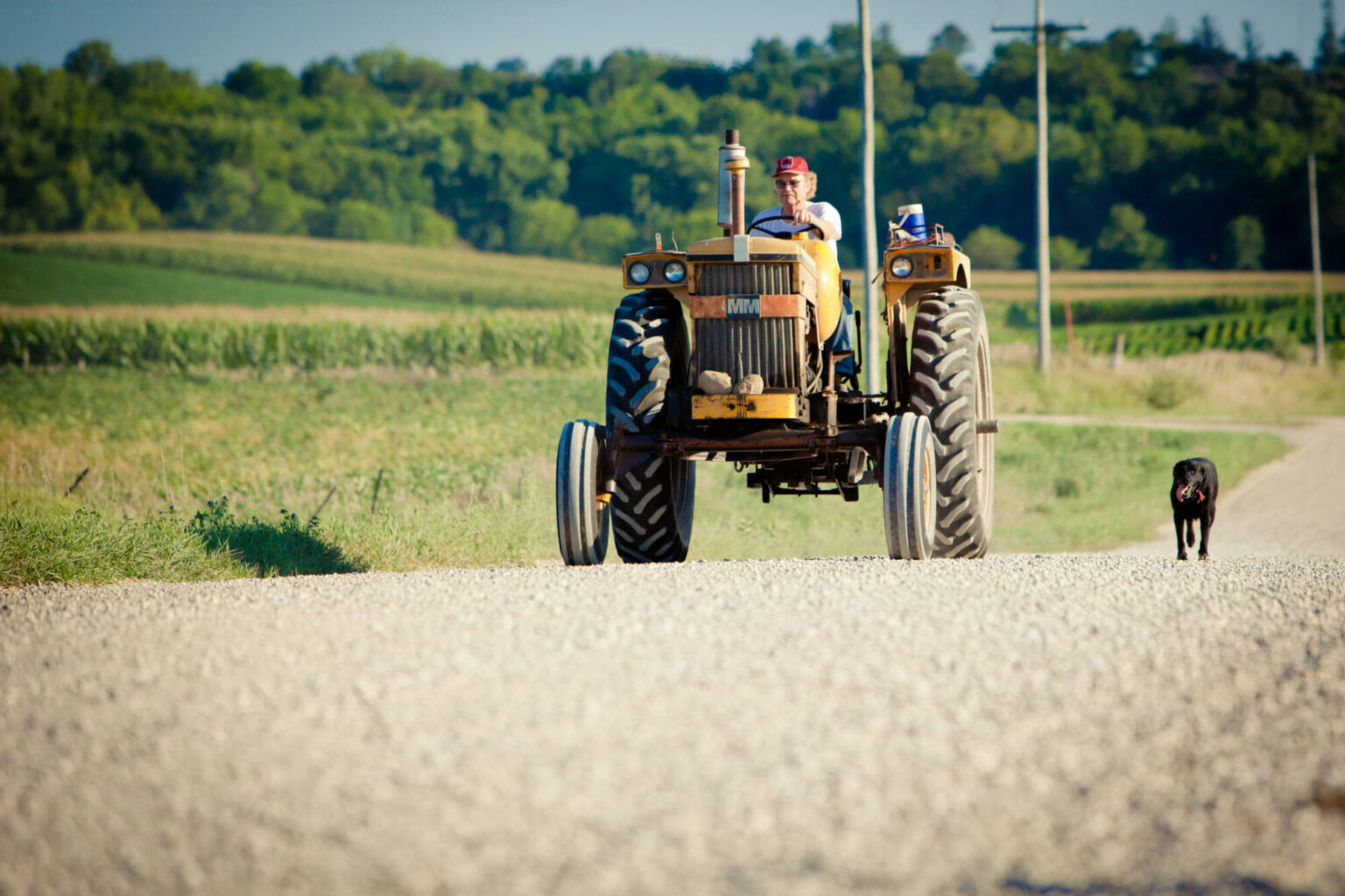 What tariffs mean for American farmers – Farm Aid