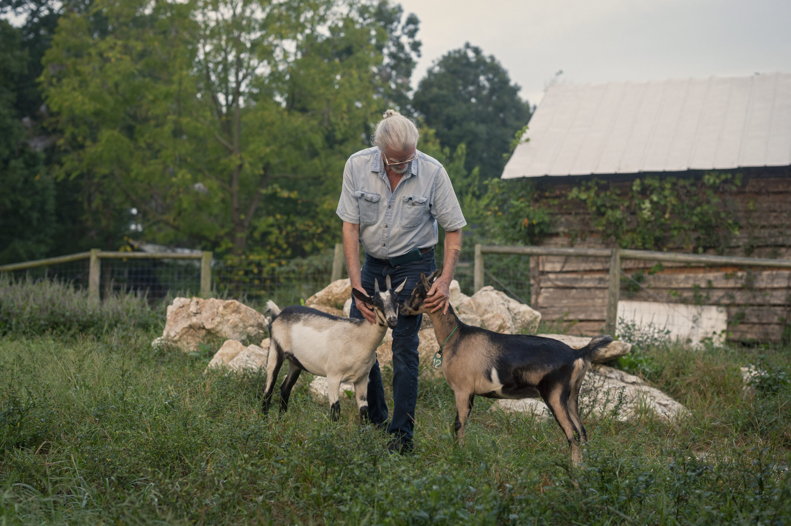 Pilot Direct Service Provider Network – Farm Aid