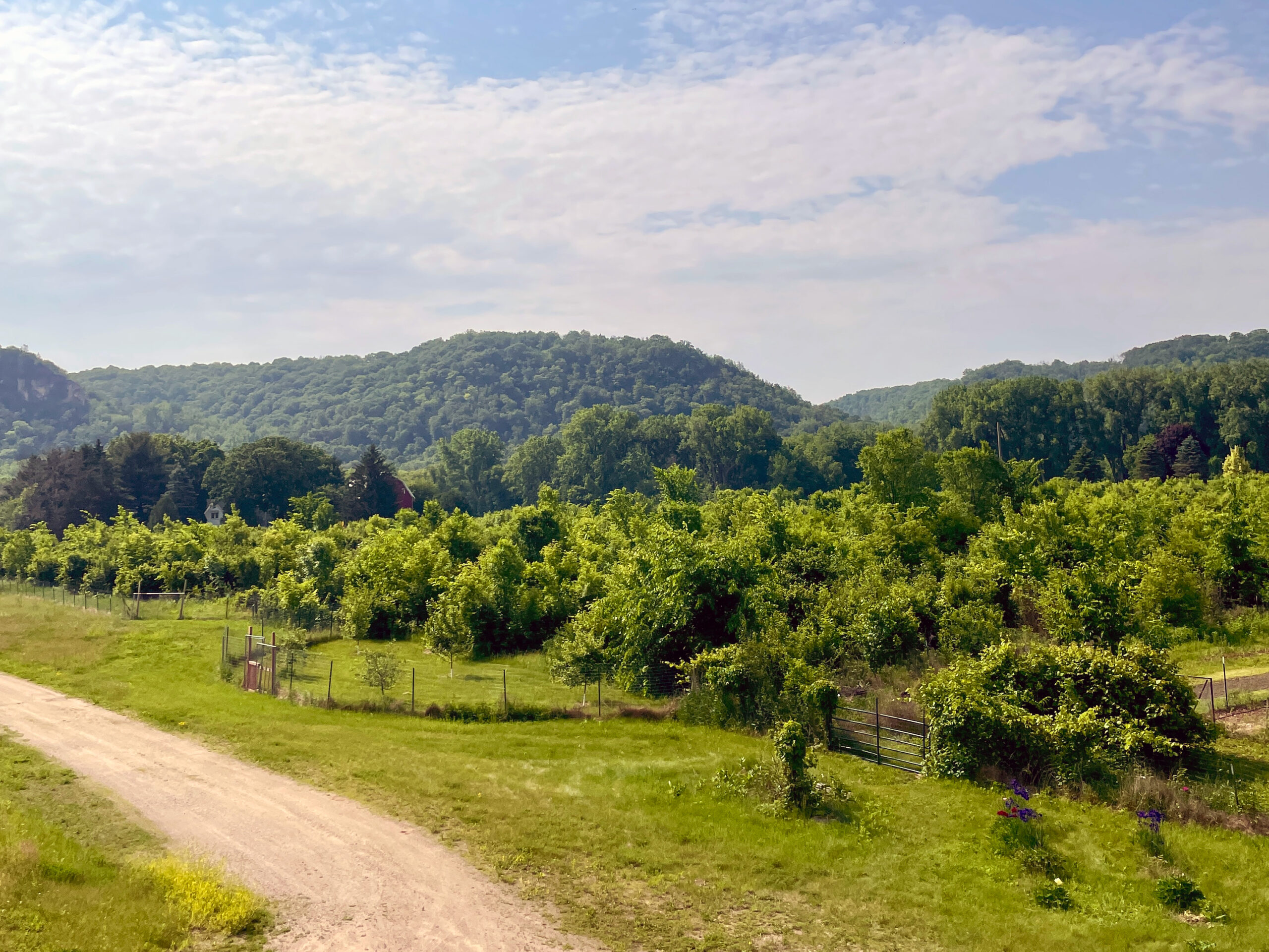 Nine Hazels Farm: A Hopeful Path Forward with Nature – Farm Aid