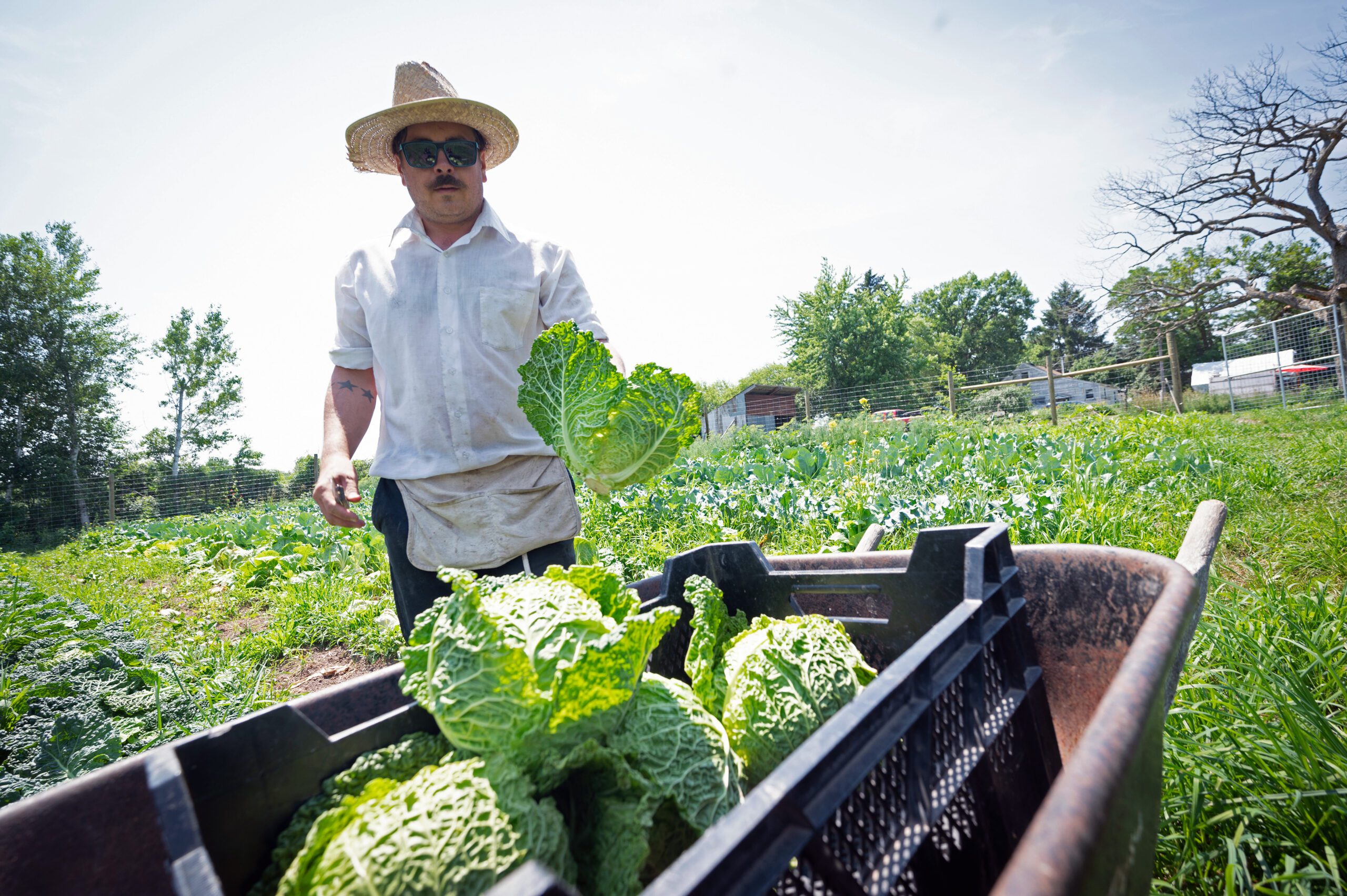 Farmers and communities deserve a better farm bill in 2025 – Farm Aid